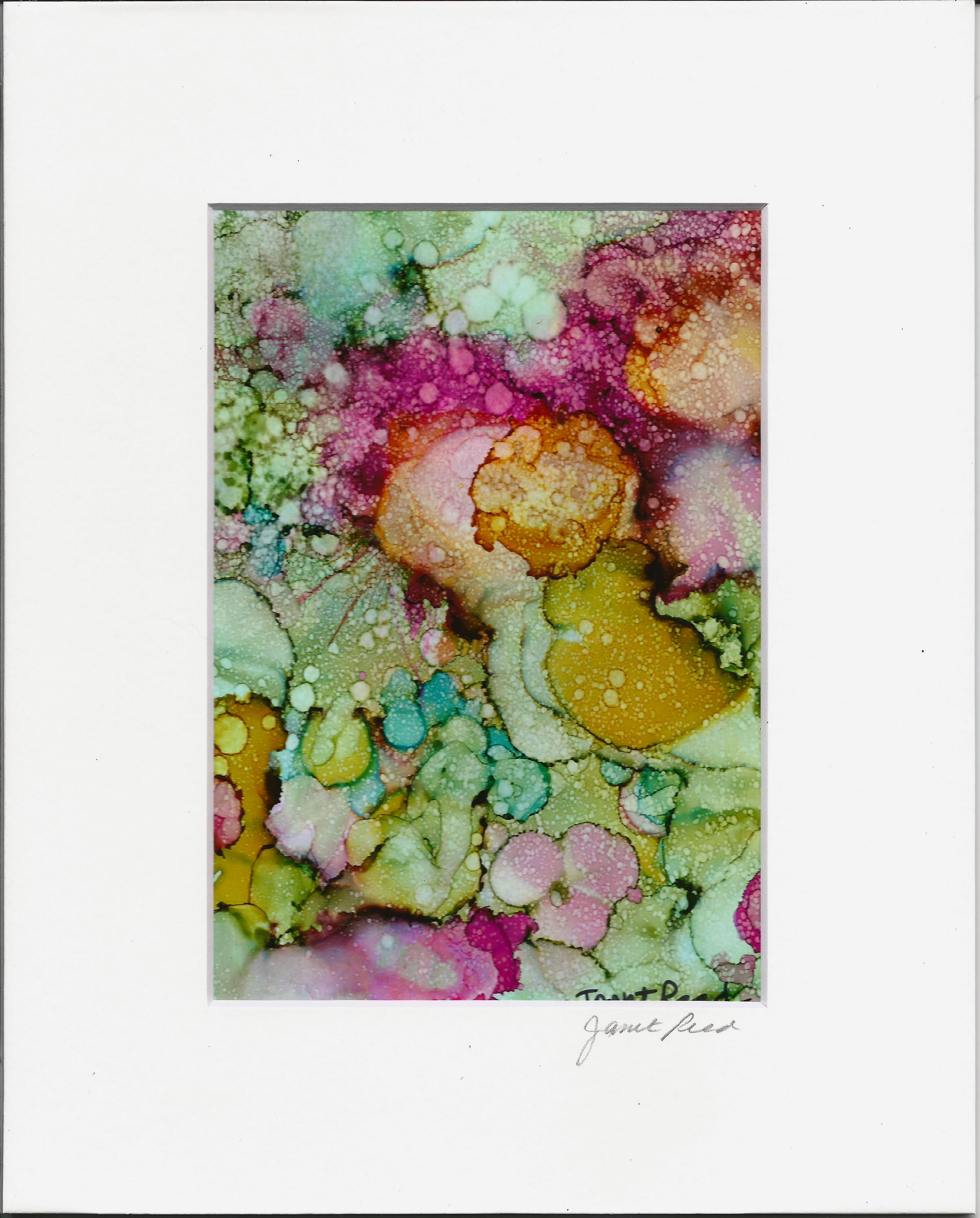 Janet Reed - Official Website